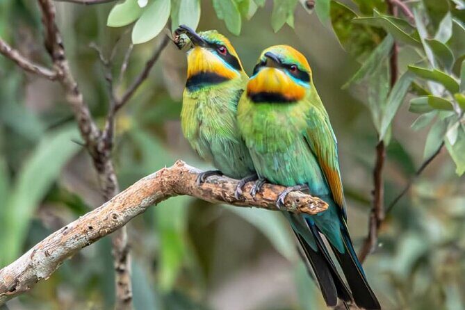 Unique and Personal BushTracks Eco Tour in Agnes Water 1770 - Final Thoughts