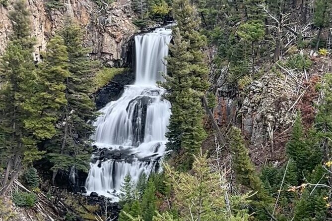 Upper Loop Lamar Wildlife Safari from Gardiner PRIVATE Lunch - Exploring Yellowstone’s Wildlife and Landmarks in Depth