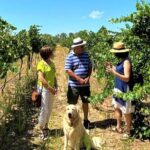 Upper Reach Winery: Swan Valley Winery and Vineyard Tour - Who Should Book This Tour?