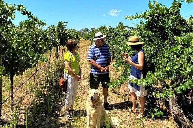 Upper Reach Winery: Swan Valley Winery and Vineyard Tour - Who Should Book This Tour?