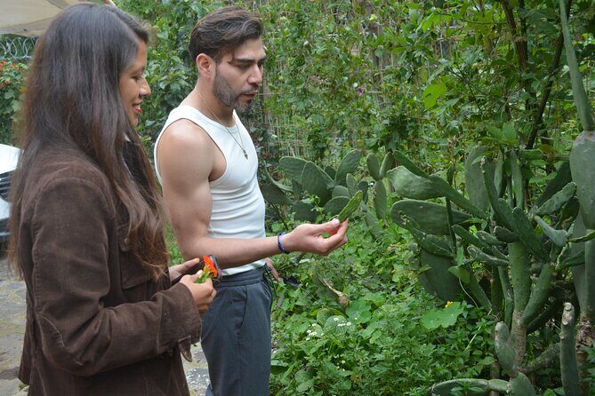 Urban Orchard in Desierto de los Leones in Mexico City - Exploring the Urban Orchard Experience