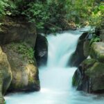 Uruapan Tour - Introduction to the Uruapan Tour