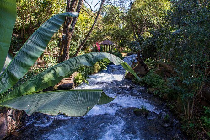 Uruapan Tour and Avocado Garden with Breakfast - FAQs