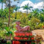 Vallarta Botanical Garden: Private Day Trip of Flora & Fauna - The Value of a Private Guided Tour