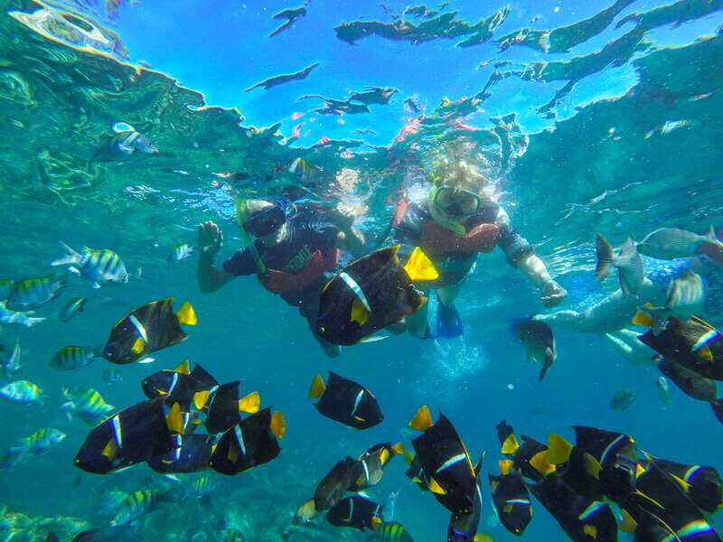 Vallarta: Yelapa Waterfall & Majahuitas Snorkel Adventure - Majahuitas Cove: A Hidden Marine Paradise