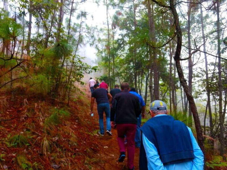Valle de Bravo: Forest Hiking Adventure - Authentic Experiences and Tips From Travelers