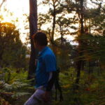 Valle de Bravo: Magical night at the forest - Why This Tour Offers Real Value