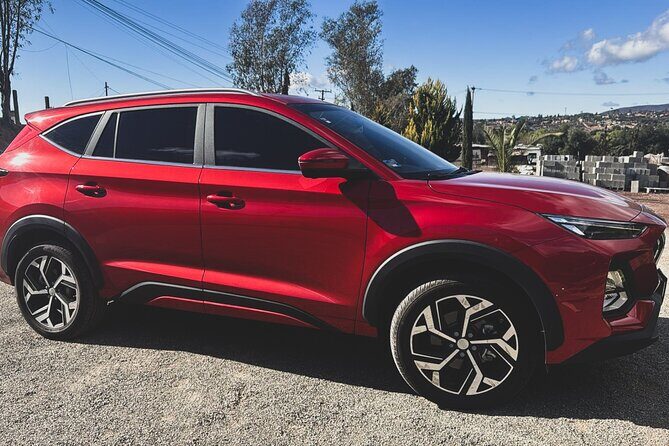 Valle de Guadalupe Private Transportation - An Overview of the Experience