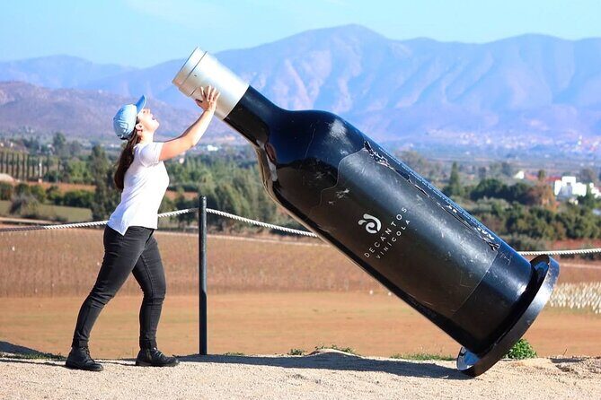 Valle de Guadalupe Wine Experience: Wine Tastings Included - FAQs