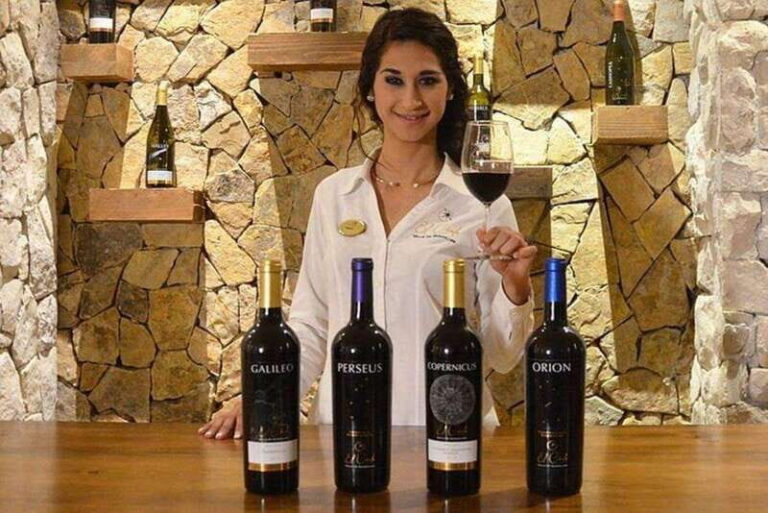 Valle de Guadalupe: Wine Tasting and Wagon Tour - Why This Tour Offers Great Value