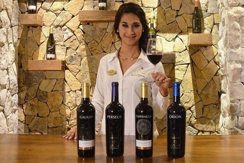 Valle de Guadalupe: Wine Tasting and Wagon Tour - Why This Tour Offers Great Value