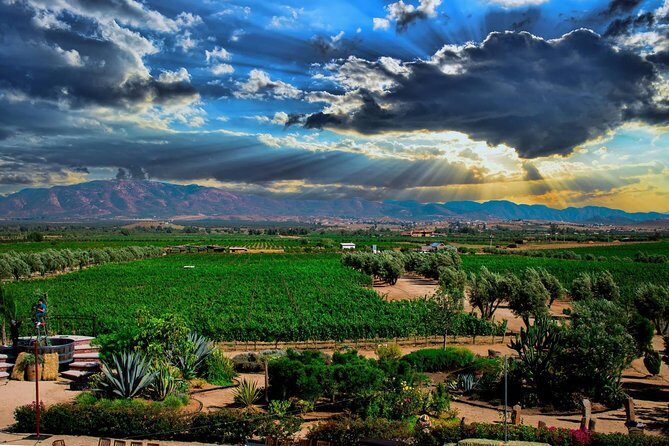 Valley tour /Bakuss/bloodlust/Relief/restaurant Elena/justina - Authentic Experiences & Insights from Reviewers