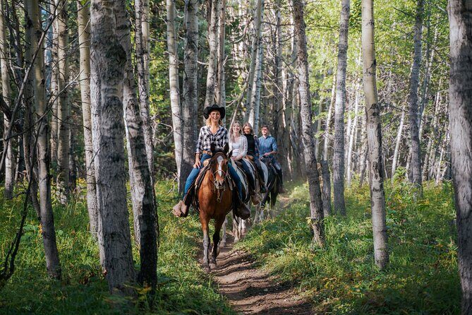 Valley Vista 1.5 Hour Horseback Trail Ride in Kananaskis - Who is This Tour Best For?