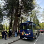 Vancouver: 24 or 48-Hour Hop-On Hop-Off Trolley Tour Pass - Who Should Consider This Tour?