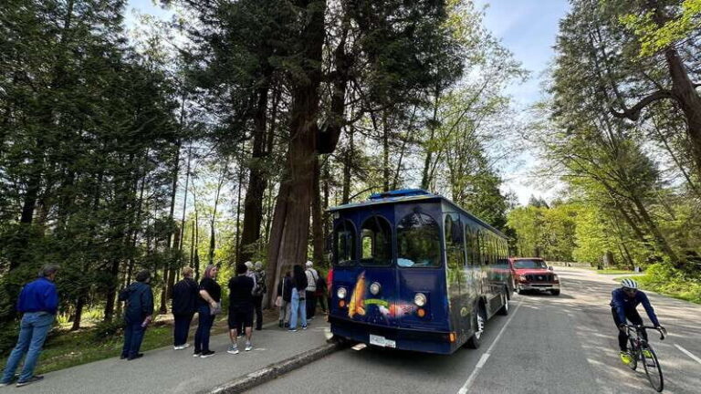 Vancouver: 24 or 48-Hour Hop-On Hop-Off Trolley Tour Pass - Who Should Consider This Tour?