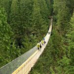 Vancouver and Capilano Park Private Tour - Final Thoughts