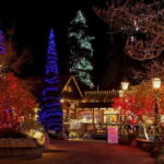 Vancouver and Capilano Suspension Bridge Canyon Lights - Granville Island Market: Local Flavors and Artisan Finds