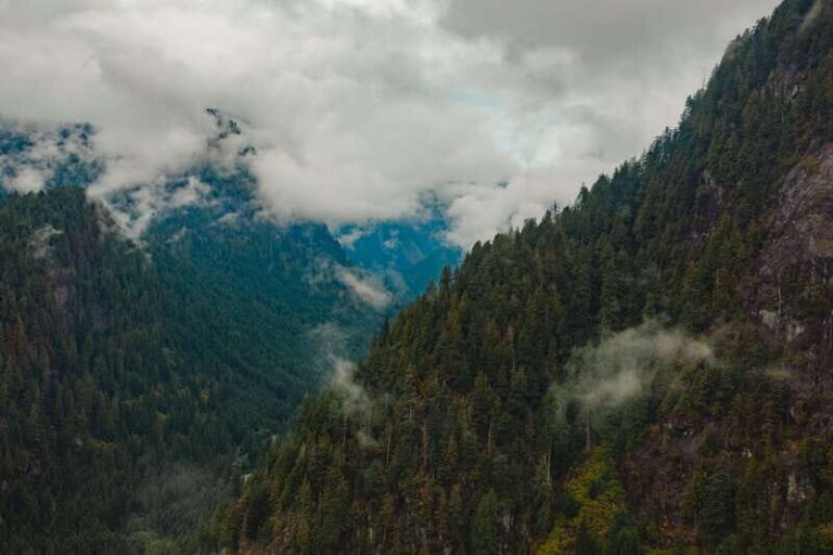 Vancouver: Beer Tasting Helicopter Tour with Hotel Pickup - Exploring the Itinerary and Highlights