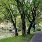 Vancouver Botanical Gardens & Museum Private Explorer - Exploring Vancouver’s Green and Cultural Gems