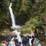 Vancouver Brunch Cruise - Who This Cruise Is Perfect For