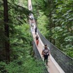 Vancouver: Capilano Bridge, Cleveland Dam & Lynn Canyon Tour - What We Love About This Tour