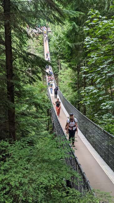 Vancouver: Capilano Bridge, Cleveland Dam & Lynn Canyon Tour - What We Love About This Tour