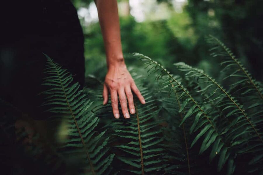 Vancouver: Capilano River Hatchery Love the Land Tour - Why This Tour Is a Great Value