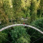 Vancouver: Capilano Suspension Bridge Park Ticket - Authentic Review Insights and Tips
