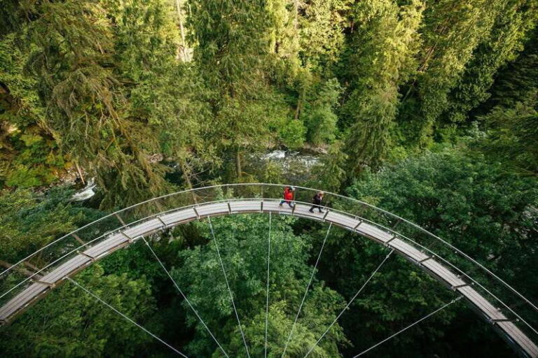 Vancouver: Capilano Suspension Bridge Park Ticket - Authentic Review Insights and Tips