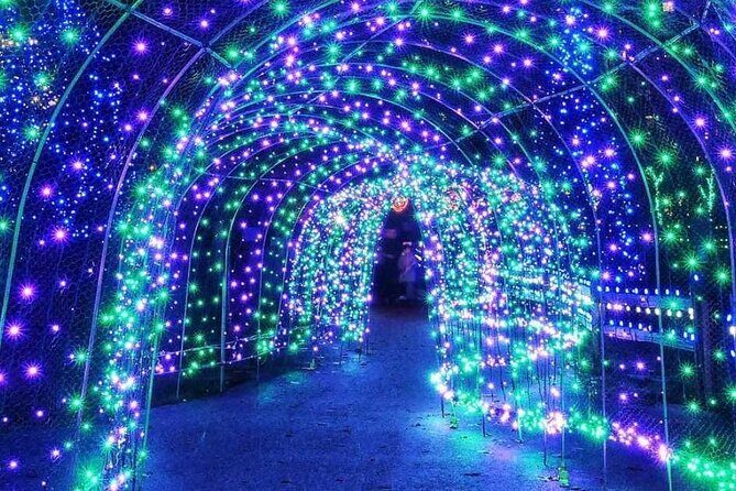 Vancouver Christmas Light Tour private - What’s Included and Why It Matters