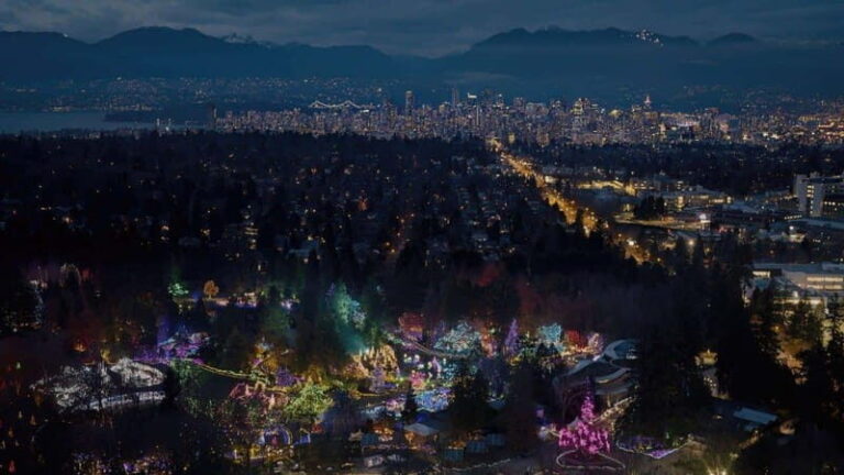 Vancouver: Christmas Lights Karaoke Trolley Tour - Authentic Insights from Reviews