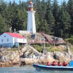 Vancouver City and Seals Scenic Boat Tour by Vancouver Water Adventures - Detailed Breakdown of the Itinerary