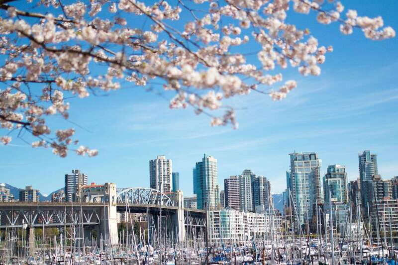 Vancouver: City & Granville Island Sightseeing Trolley Tour - Who Is This Tour Best For?
