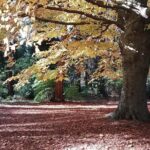 Vancouver City Highlights Explorer Private Tour - The Itinerary Breakdown