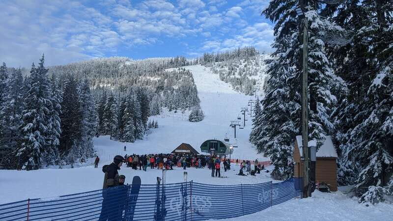 Vancouver city tour & Adventure at Cypress Mountain Private - Is It Good Value?