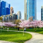 Vancouver City Tour with Cherry Blossom Festival Private - Practical Details and What to Expect