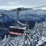 Vancouver City Tour With Stanley, Grouse Mountain & Capillano Suspension Private - Who Will Love This Tour?
