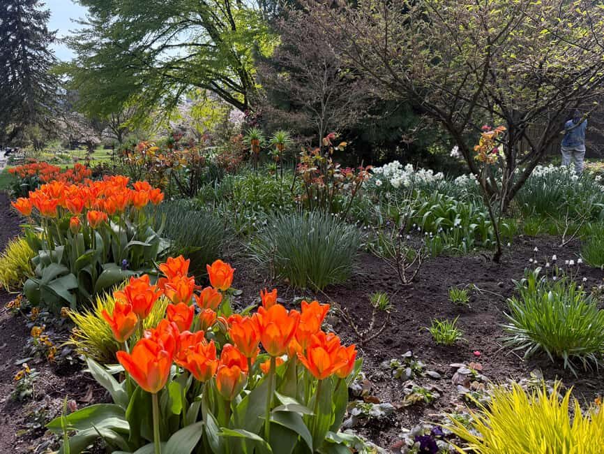 Vancouver City Tour+VipCar+Stanley Park+ChinaTown/SmallGroup - The Balance of Value and Experience