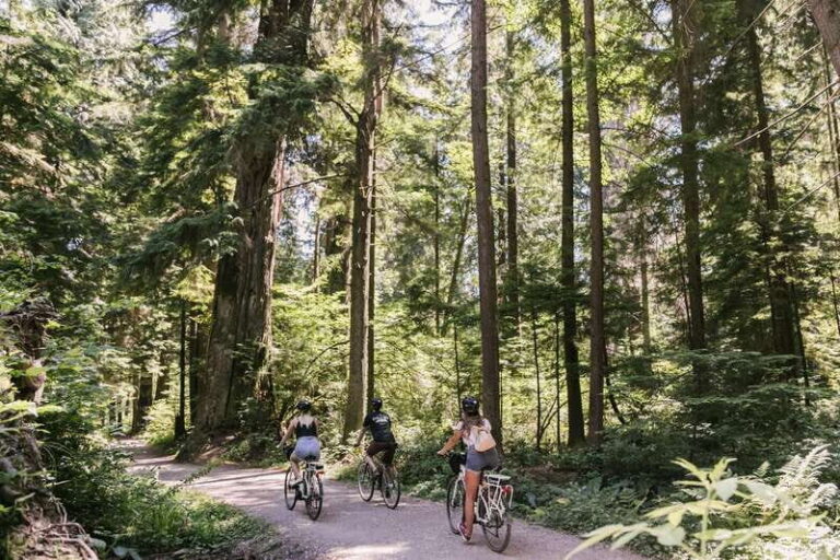 Vancouver: Guided Bike Tour - A Detailed Breakdown of the Vancouver Bike Tour