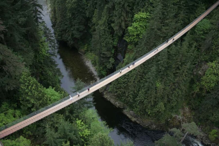 Vancouver Highlights: Capilano Bridge & Granville Island - Transportation, Duration, and Value