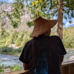 Vancouver Island: Full-Day Grizzly Bear Tour at Toba Inlet - Price and Value