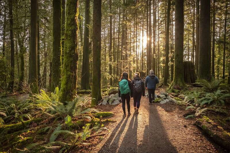 Vancouver: Lynn Valley Suspension Bridge & Nature Walk Tour - The Value of This Tour
