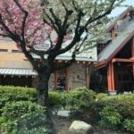 Vancouver Perfect Day Tour Grouse Mountain`& Capilano Suspention Bridge Private - Who Should Consider This Tour?