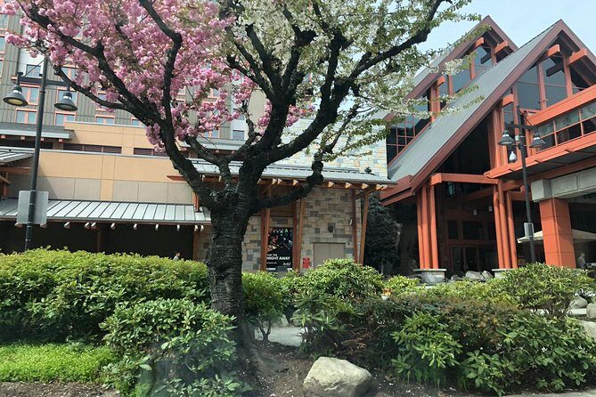 Vancouver Perfect Day Tour Grouse Mountain`& Capilano Suspention Bridge Private - Who Should Consider This Tour?