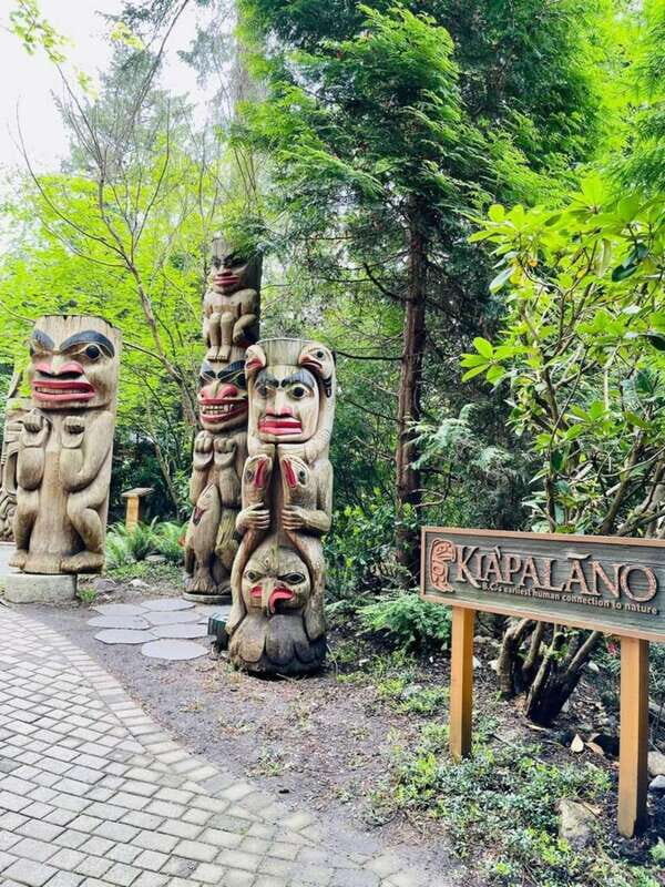 Vancouver: Private Tour City Sights, FlyOver & Capilano - Why This Tour Works Well for Certain Travelers