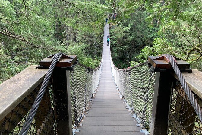 Vancouver Rainforest Hike with Waterfalls, Suspension Bridge, Old Growth Forest - The Itinerary in Detail