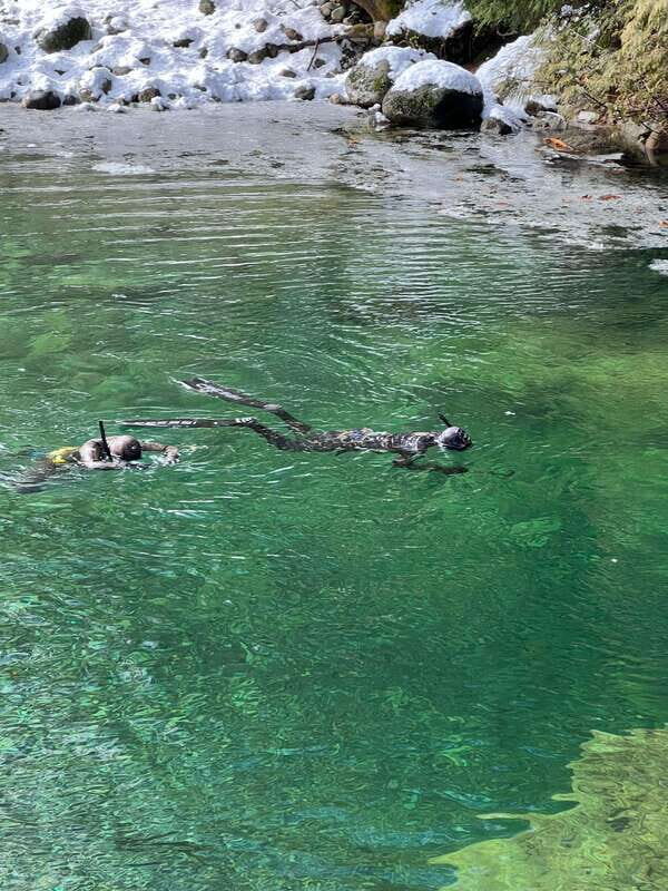 Vancouver: Rainforest Waterfall Hike and Suspension Bridge - Authentic Guides Make All the Difference