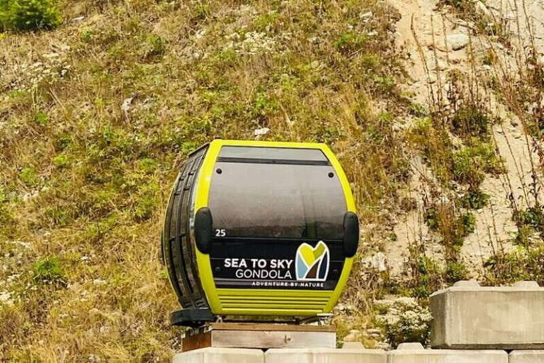 Vancouver, Squamish, Cypress Mountain Day Tour - Who Should Consider This Tour?