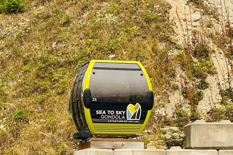 Vancouver, Squamish, Cypress Mountain Day Tour - Who Should Consider This Tour?