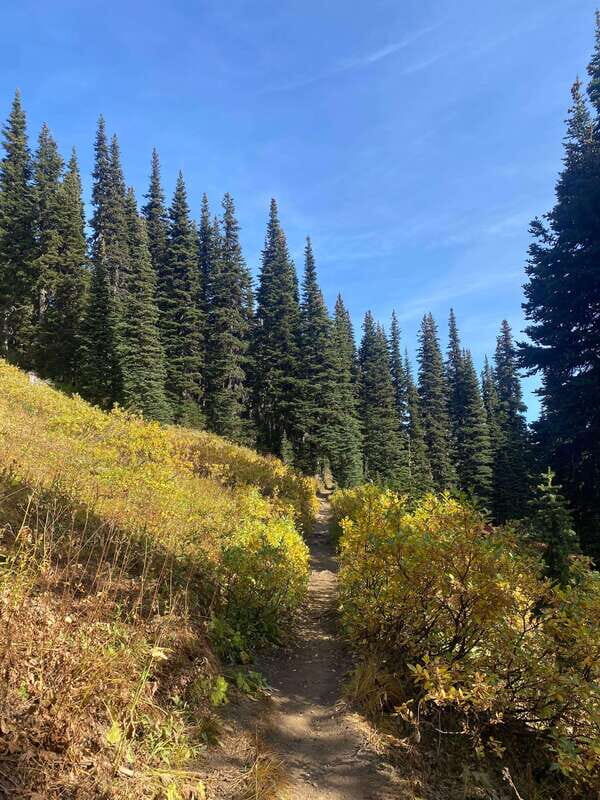 Vancouver/Squamish: Garibaldi Park Panorama Ridge Hike - What to Expect at the Summit and Beyond